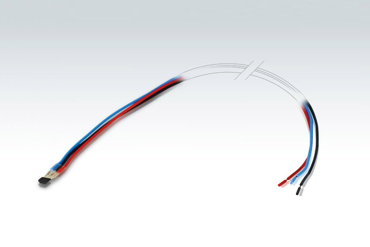 Hall effect sensor - Reissmann Sensortechnik GmbH